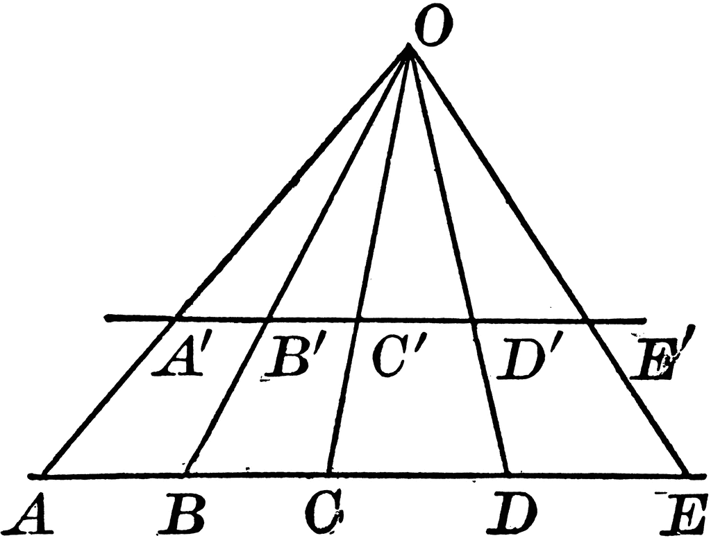 Parallel Lines Cut By Transversals ClipArt ETC