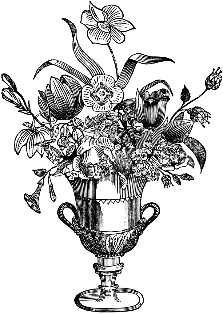 Katherine D Jones Vase Of Flowers Drawing How To Draw A Flower Vase