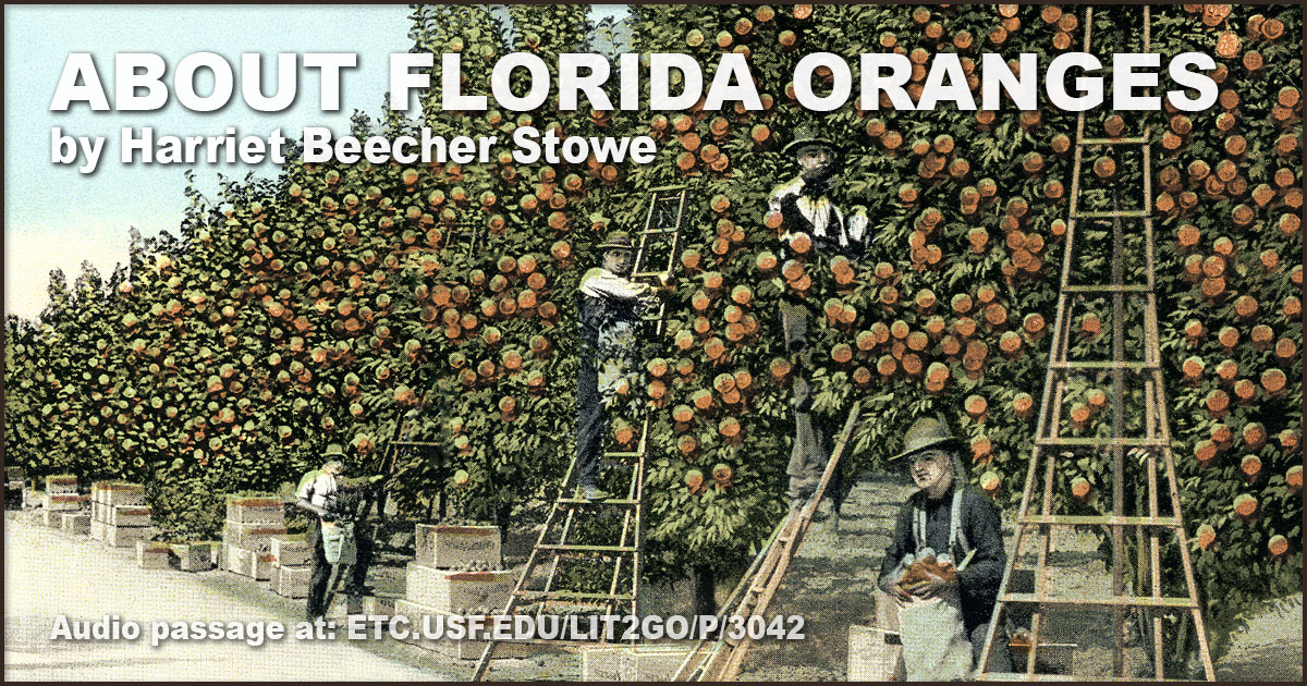 About Florida Oranges | Florida: Essays and Poems | Harriet Beecher ...