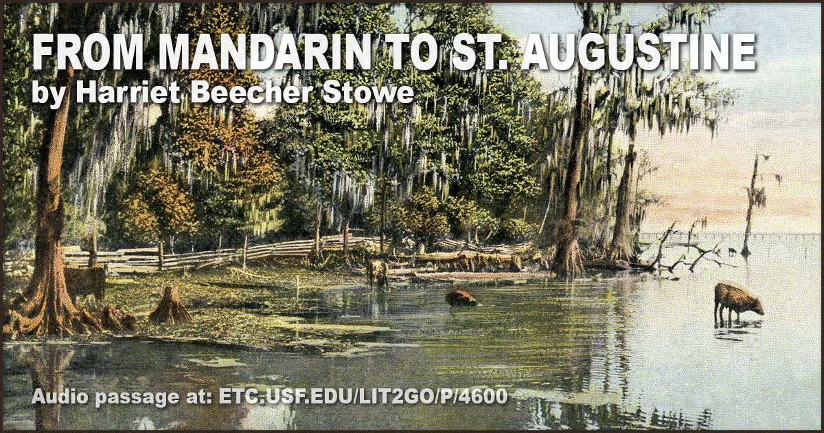 From Mandarin to St. Augustine | Florida: Essays and Poems | Harriet ...